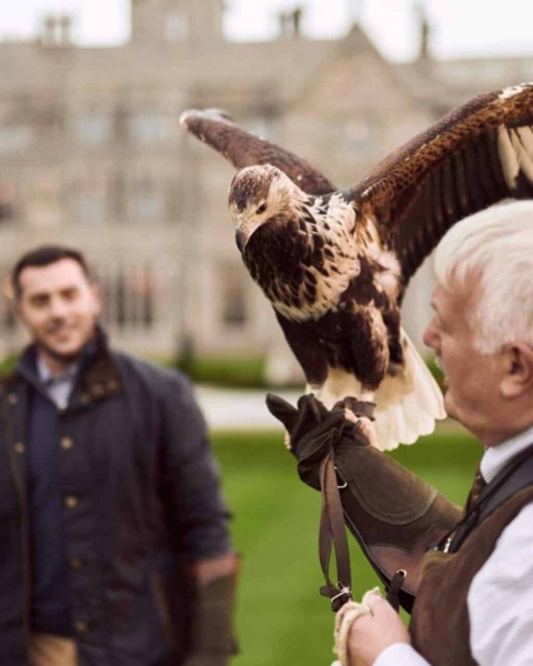 Falconry in Adare | Adare Country Pursuits | Adare Manor