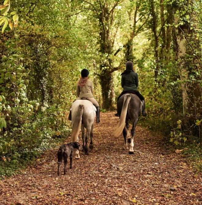 Nature & Outdoor Activities Adare | Adare Manor Activities